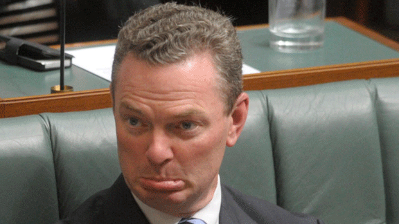 Christopher the Trout | Red Flag