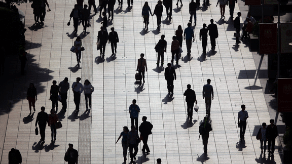 What causes overpopulation? | Red Flag